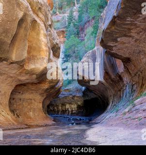 The Subway Left Fork of North Creek River Zion National Park Utah rock ...