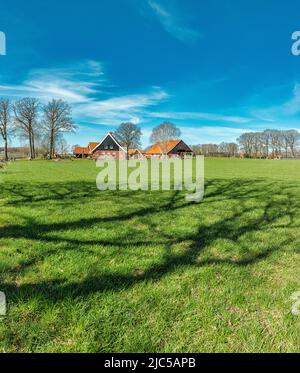 Saxony type farmhouses *** Local Caption *** Netherlands,farm, field ...
