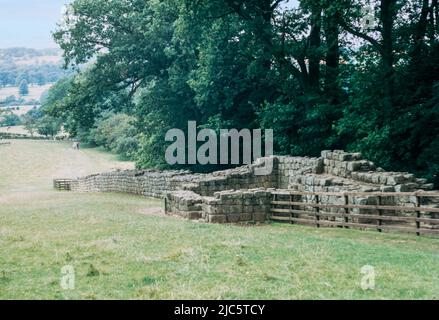 section of hadrians wall and brunton turret at low brunton ...