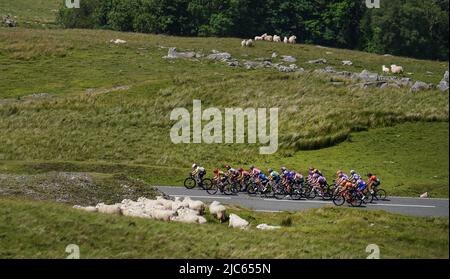 The trailing peloton climbs to the finish during stage five of The ...