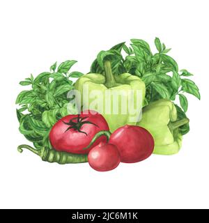 Ripe tomatoes, basil, green bell pepper seamless pattern on white ...