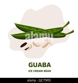 Illustration with tropical fruit pod guaba, guama Inga edulis with two ...
