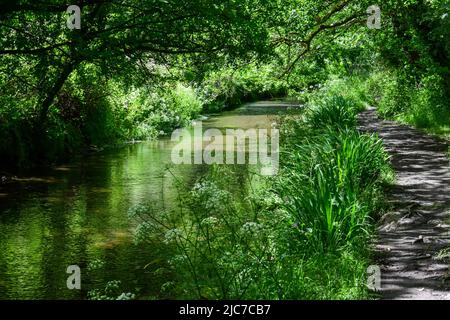White River, Pentewan 080622 Stock Photo - Alamy