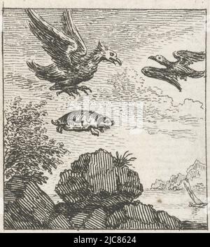 Fable of the eagle, the crow and the turtle, Illustrations for fable ...
