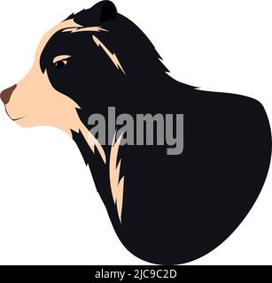 cartoon illustration of spectacled bear funny wild animal character ...