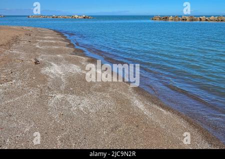 Sandy Shore Stormy Dreissen Mollusk Shells on Lake Erie, Ohio USA Stock ...