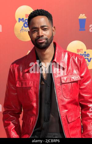 LOS ANGELES - JUN 5: Jay Ellis at the 2022 MTV Movie and TV Awards at ...