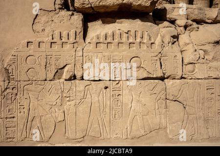 Different hieroglyphs on the walls and columns in the Karnak temple ...