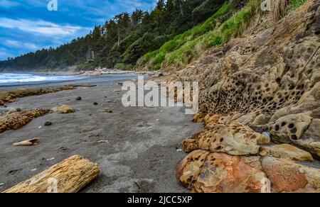 Colorful rocks with holes from drilling shellfish on the shores of the ...