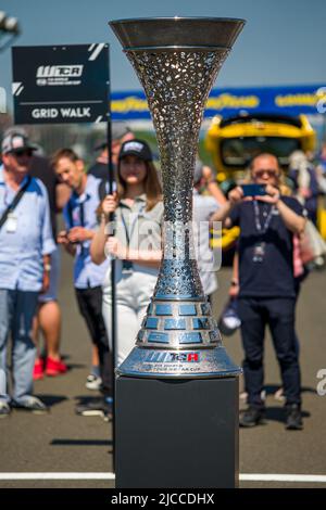 FIA WTCR Race of, Hungary. , . FIA World Touring Car Cup, Hungaroring ...