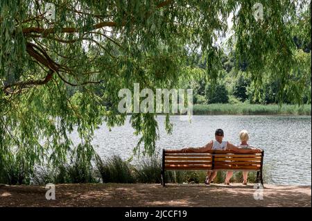 Coburg, Germany. 12th June, 2022. A coot swims along under the branches ...