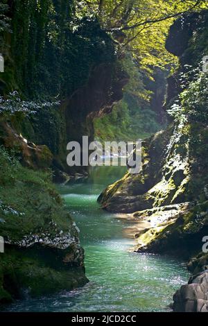 mountain rivers and waterfalls in georgia Stock Photo - Alamy