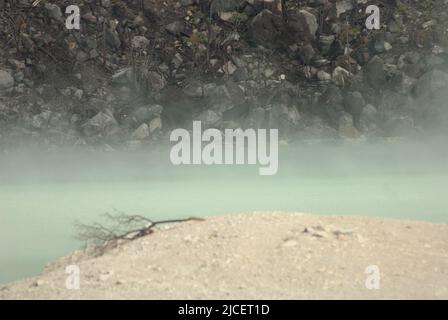 A dead cantigi tree on sandy landscape on the crater of Mount Patuha ...