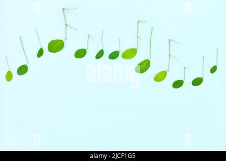 Fresh refreshing spring summer music concept. Creative composition of ...