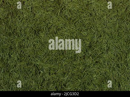 Fallen christmas tree needles background Stock Photo - Alamy