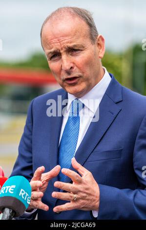 Irish Prime Minister Michael Martin speaks during a press conference in ...
