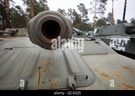 The muzzle of a modern battle tank. Military vehicle Stock Photo - Alamy