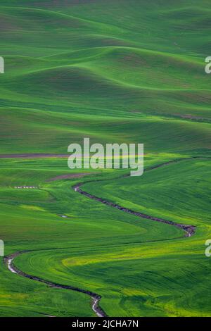 Palouse in Late Spring in Washington State Stock Photo - Alamy