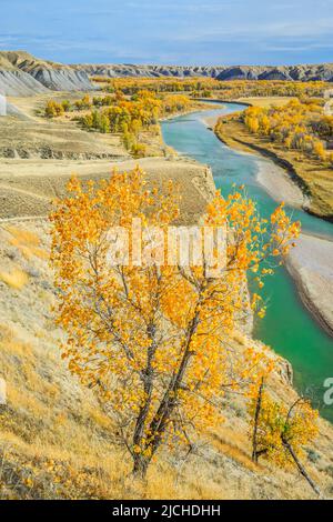 fall colors along the marias river valley near loma, montana Stock ...