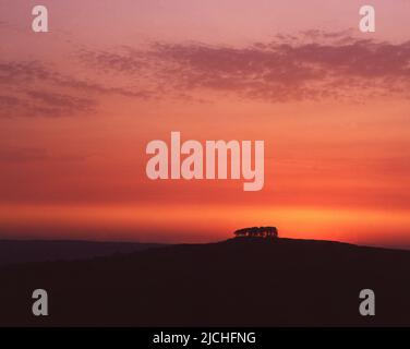 Iron Age Hill Fort, Dumpdon Hill, South Devon, UK Stock Photo - Alamy