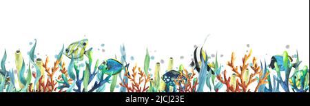 Watercolor illustration of a horizontal board with a marine coral reef ...