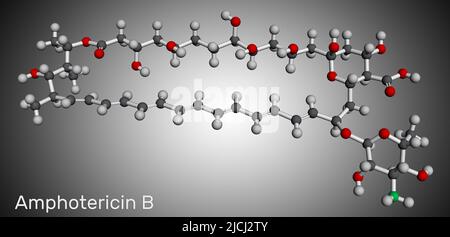 Amphotericin B molecule. It is antifungal used to treat fungal ...
