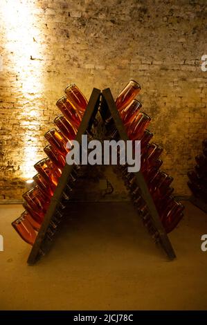 Sparkling dry rose wine production by traditional method in underground ...