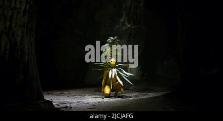 UYRA THE RISING FOREST, (aka UYRA: THE RISING FOREST, aka UYRA A ...