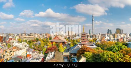 Sensoji Temple from top view, located in Asakusa district, Tokyo, Japan ...