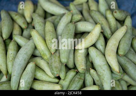These are raw pointed gourd. Potol vegetable is a vine plant Stock ...
