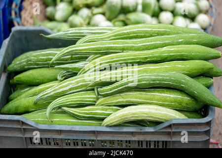Snake cucumbers at a food market Stock Photo - Alamy