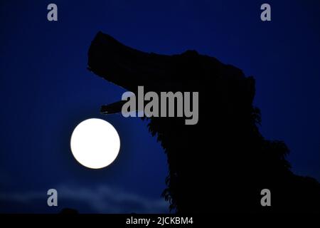 Jurassic moonlight over the Ironbridge Gorge with the moon silhouetting ...
