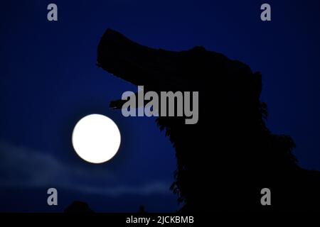 Jurassic moonlight over the Ironbridge Gorge with the moon silhouetting ...