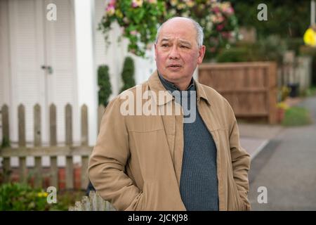 Davis Yip in Midsomer Murders The Scarecrow Murders Stock Photo - Alamy