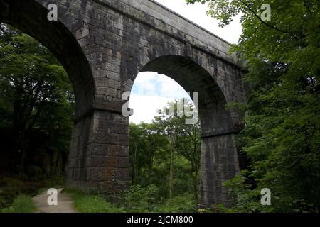 Treffry Viaduct 19th century industrial remains and World Heritage Site ...