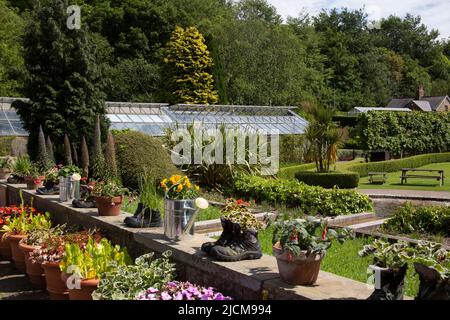 The greenhouse and formal garden at the Durham University Botanic ...
