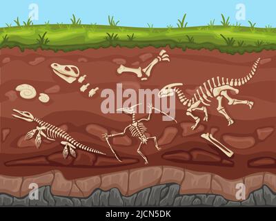 Cartoon Reptile Fossils