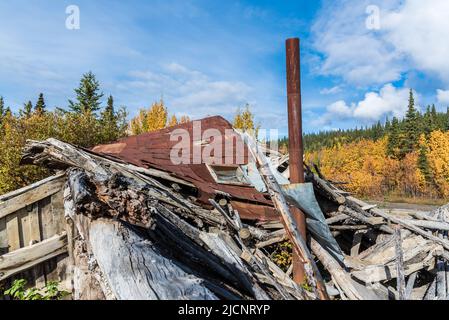 Abandoned log cabin that is collapsed and falling over in the woods ...