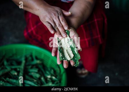 Making of boxbol, traditional nutritious Ixil dish - Quiche, Guatemala ...