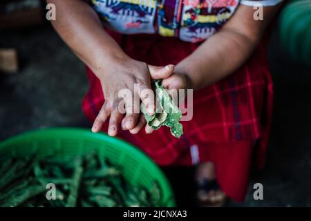 Making of boxbol, traditional nutritious Ixil dish - Quiche, Guatemala ...