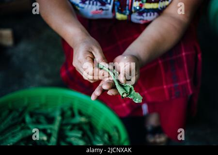 Making of boxbol, traditional nutritious Ixil dish - Quiche, Guatemala ...
