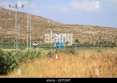 General view of the wheat field east of Gaza City, May 6, 2020. (Photo ...
