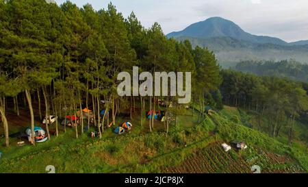 Aerial view of The atmosphere around the tent site of the Datar Pinus ...