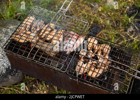 Cut fish in metal grate grilling on a brazier with flaming charcoal ...