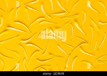 Bright Yellow Floral petals flat lay background. Summer yellow simple ...