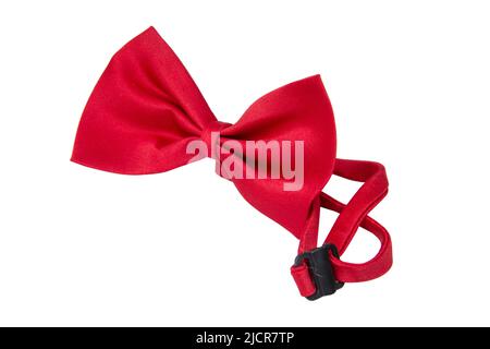 Red bow tie clothing accessory isolated on the white background Stock ...