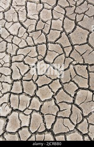 Drought, cracked mud. Germany Stock Photo - Alamy