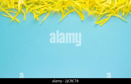 Bright Yellow Floral petals flat lay background. Summer yellow simple ...