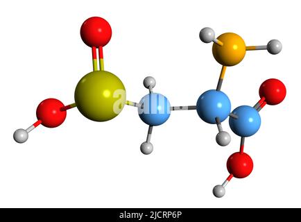 3D image of Cystathionine skeletal formula - molecular chemical ...