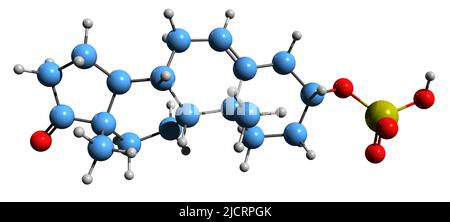 Structure of the brain derived neurotrophic factor (green ...